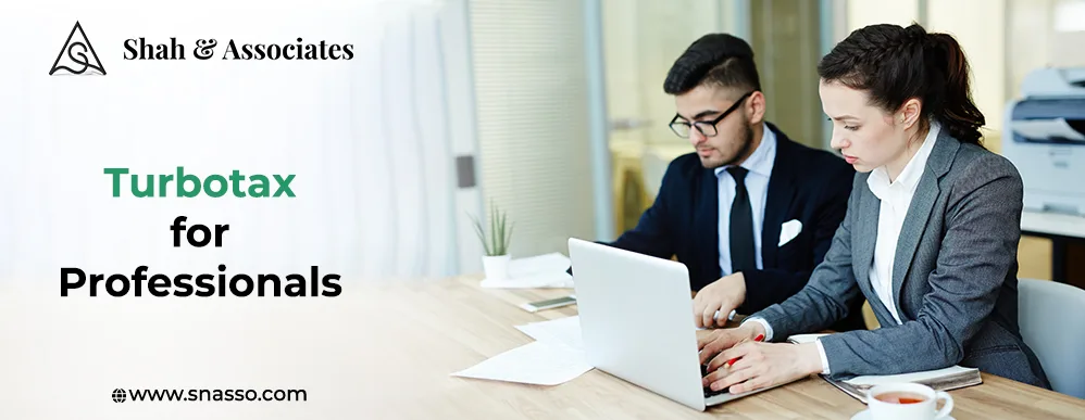 CPA vs TurboTax 2025: Small Business Tax Guide
